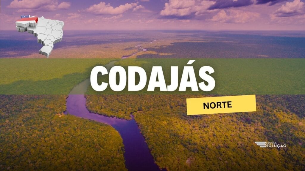 Codajás (AM) - Tudo o que você precisa saber - Escola Solução